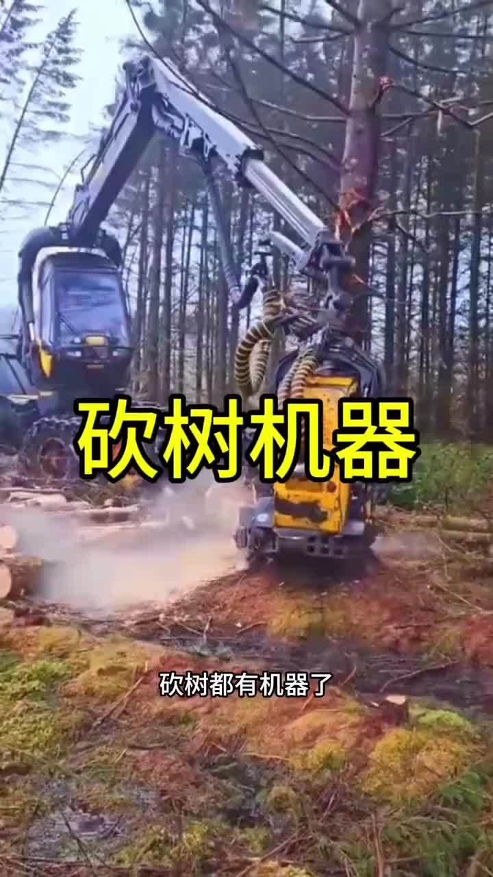 有这个砍树的机器,确实很方便啊。