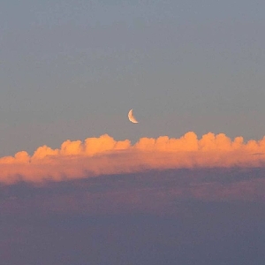 宝珠爱喝长岛冰茶 