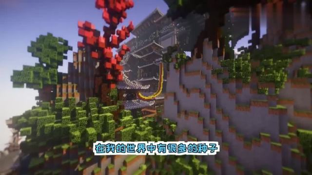 我的世界:你没见过的几个种子,特别.