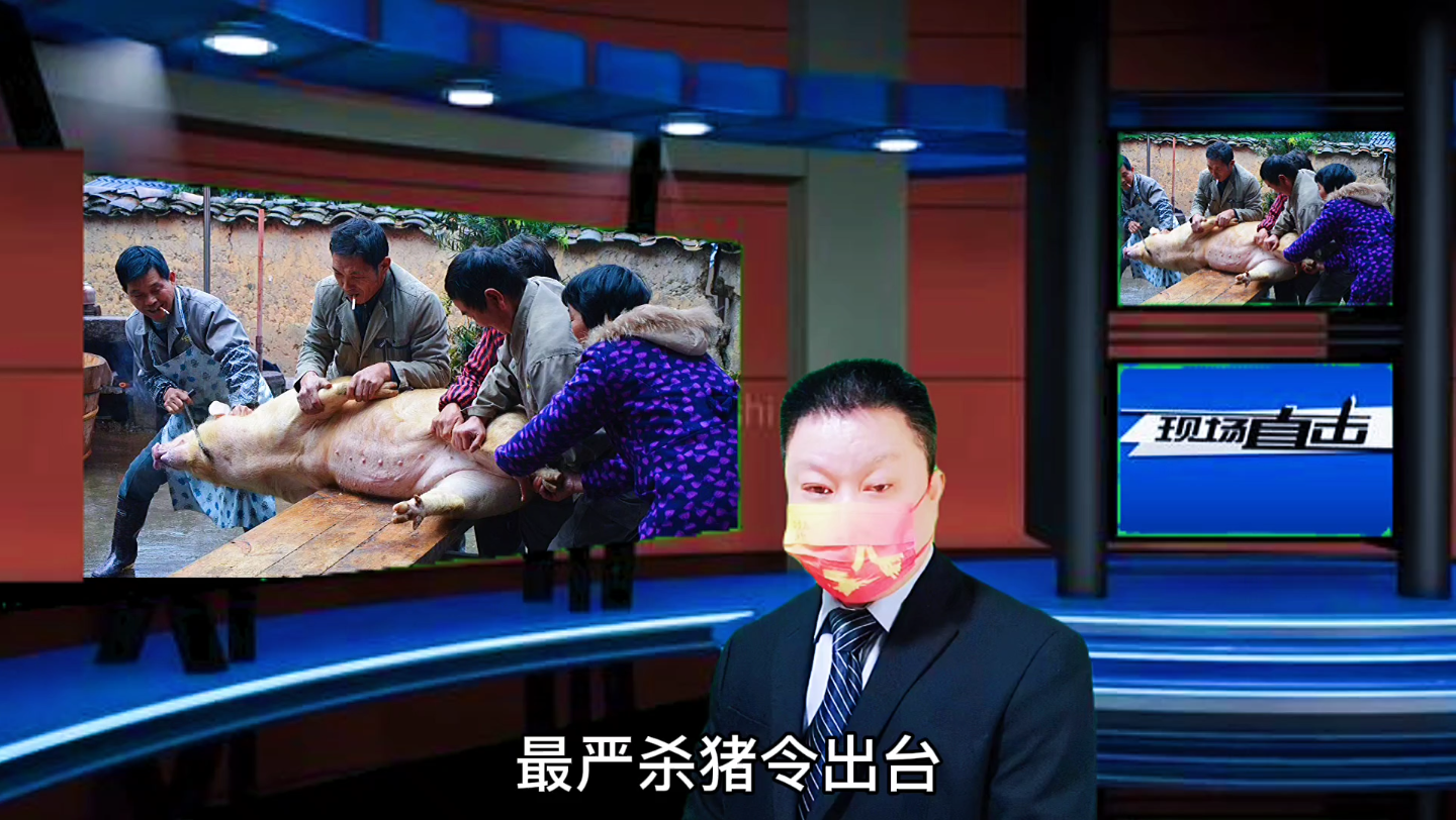 最严杀猪令出台,任意杀年猪可能会受到重罚,你家年猪杀了吗
