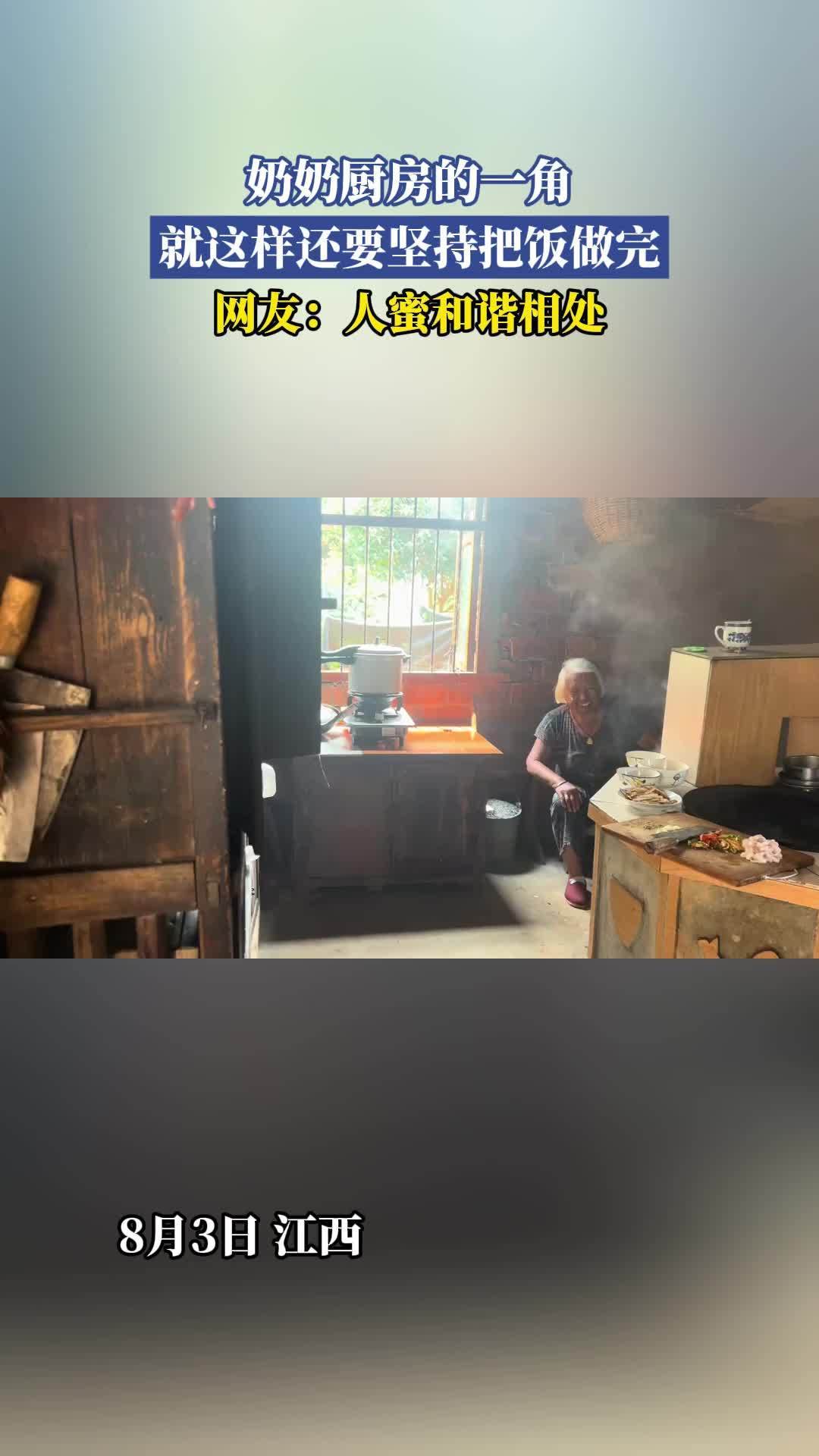 奶奶厨房的一角,就这样还要坚持把饭做完,网友:人蜜和谐相处