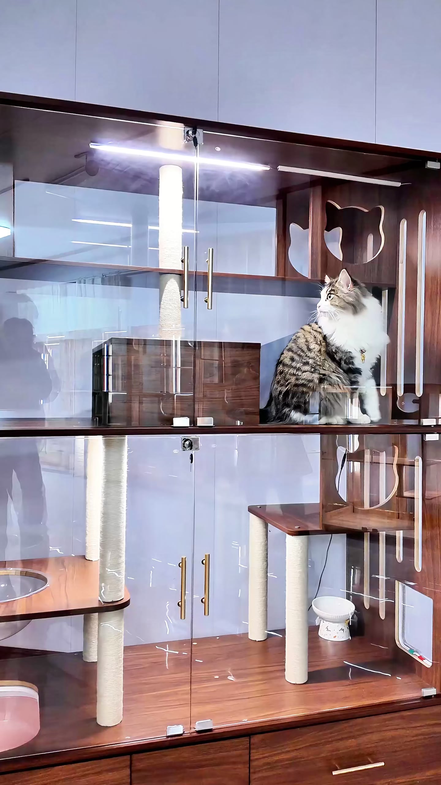 ... ▫️双面钢化玻璃 隔断采光两不误 ▫️加厚实木材质 比家具城柜子...