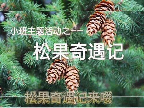 小班主题活动之--《松果奇遇记》
