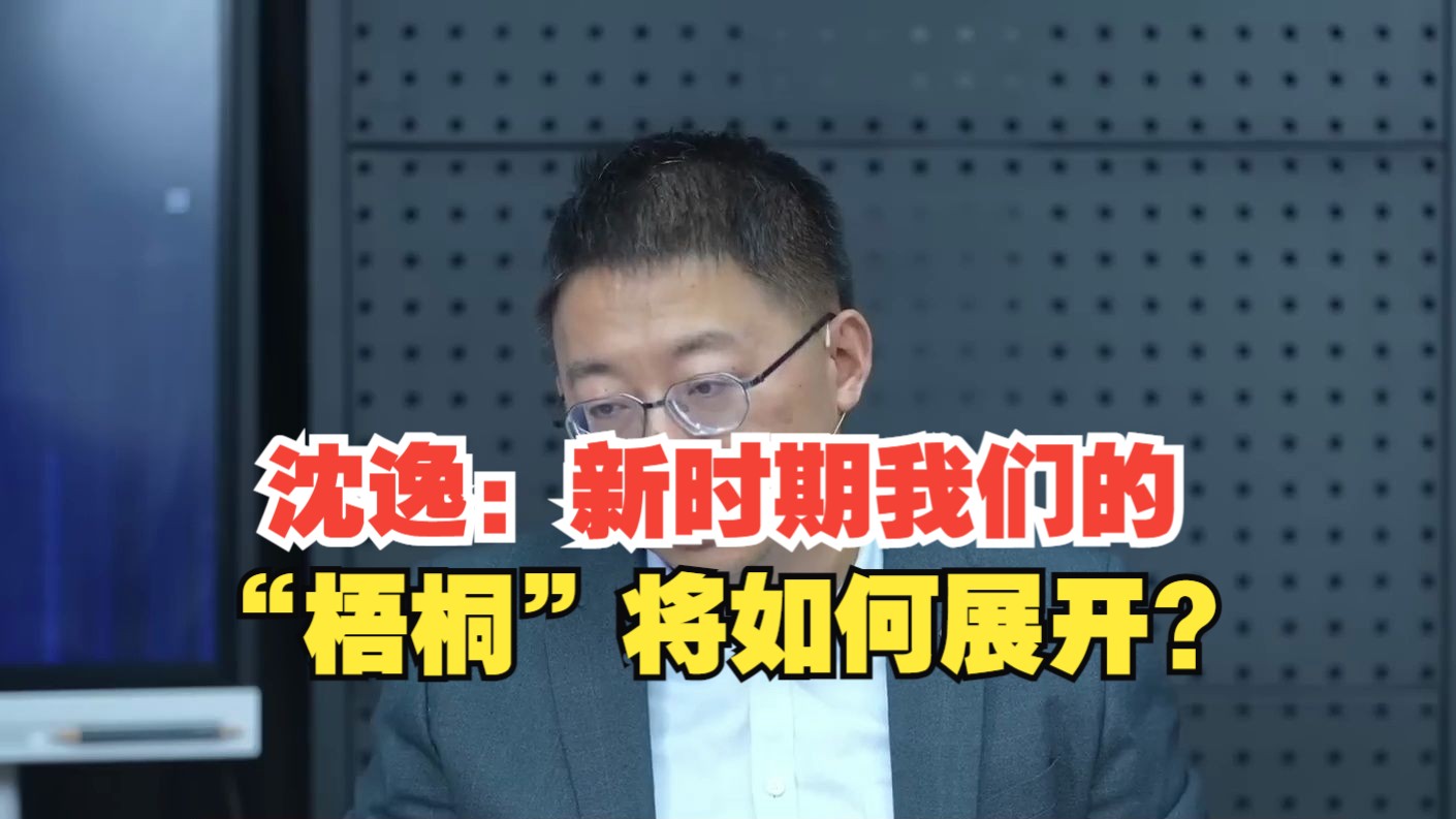 沈逸聊新时期,我们的“统一”将如何展开?