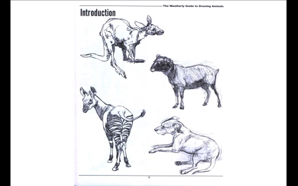 PS设计 - 传统动物剖析