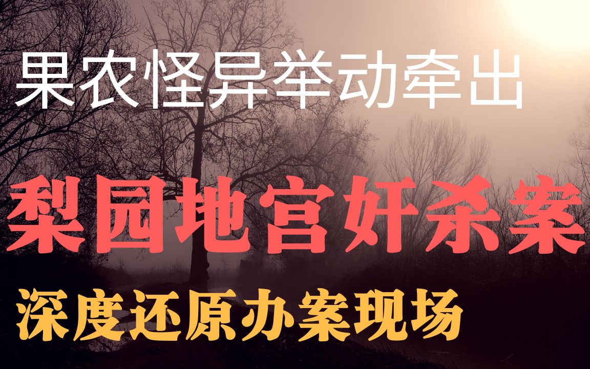 中国刑事大案要案——村里女青年陆续失踪,牵出果农的神秘梨园地宫...