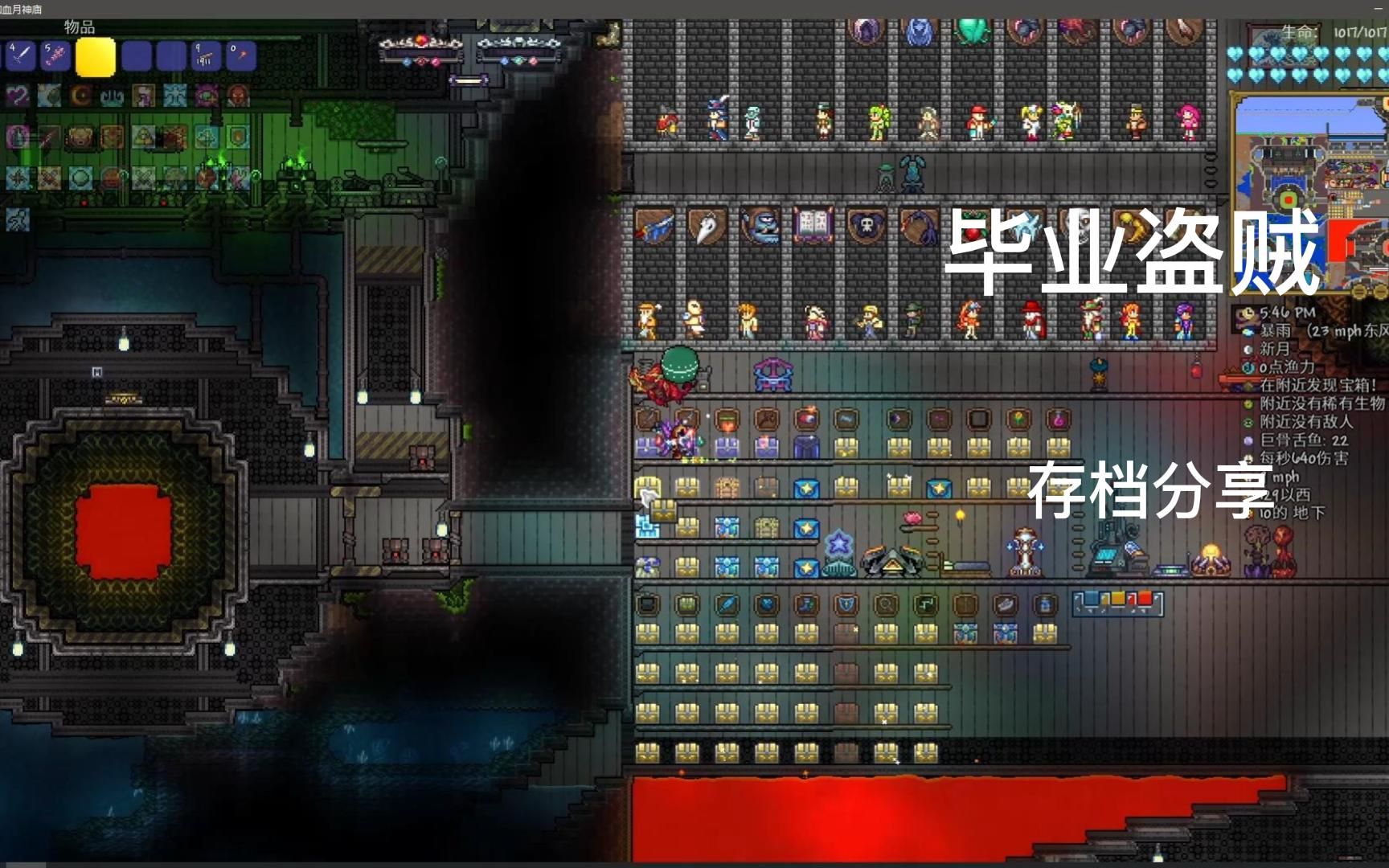泰拉瑞亚灾厄盗贼毕业地图分享_哔哩哔哩bilibili_泰拉瑞亚