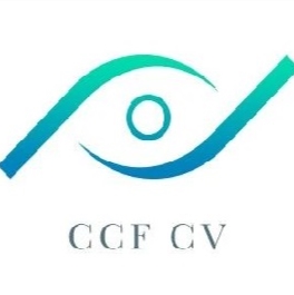 CCF计算机视觉专委会 