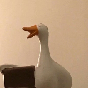 呆萌大嘴鸭 
