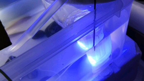 宿舍养鱼,电筒灯光,深夜蹦迪气氛,你值得拥有。(购进水泵自制水循环...