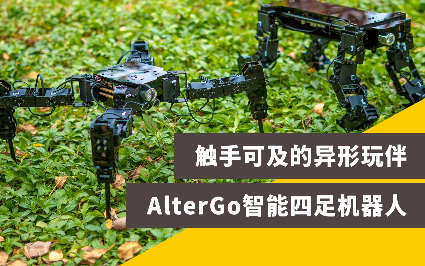 触手可及的异形玩伴 AlterGo可编程多形态机械狗 四足机器人