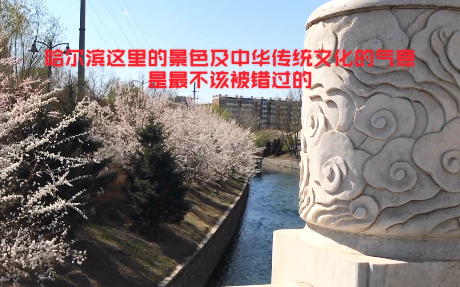 哈尔滨主城区里的“中式建筑与中式园艺”,这里是传承“中华优秀...