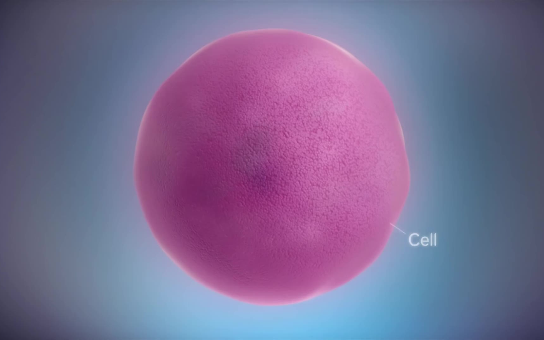 从DNA到蛋白质(转录,翻译)From DNA to protein - 3D