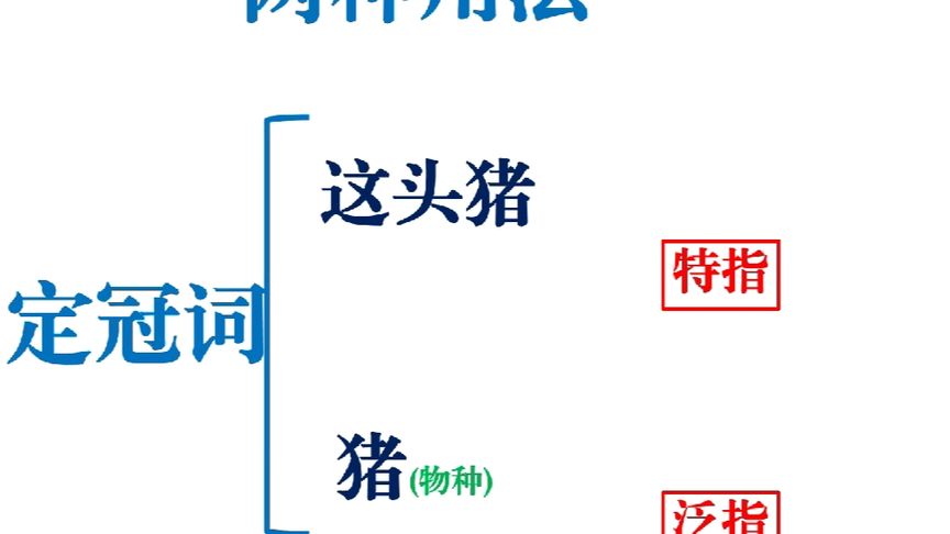冠词的用法,只要一个小视频就够了