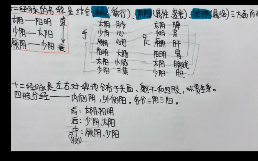 手把手教你背十二经脉循行路线,看完就懂,不会背混
