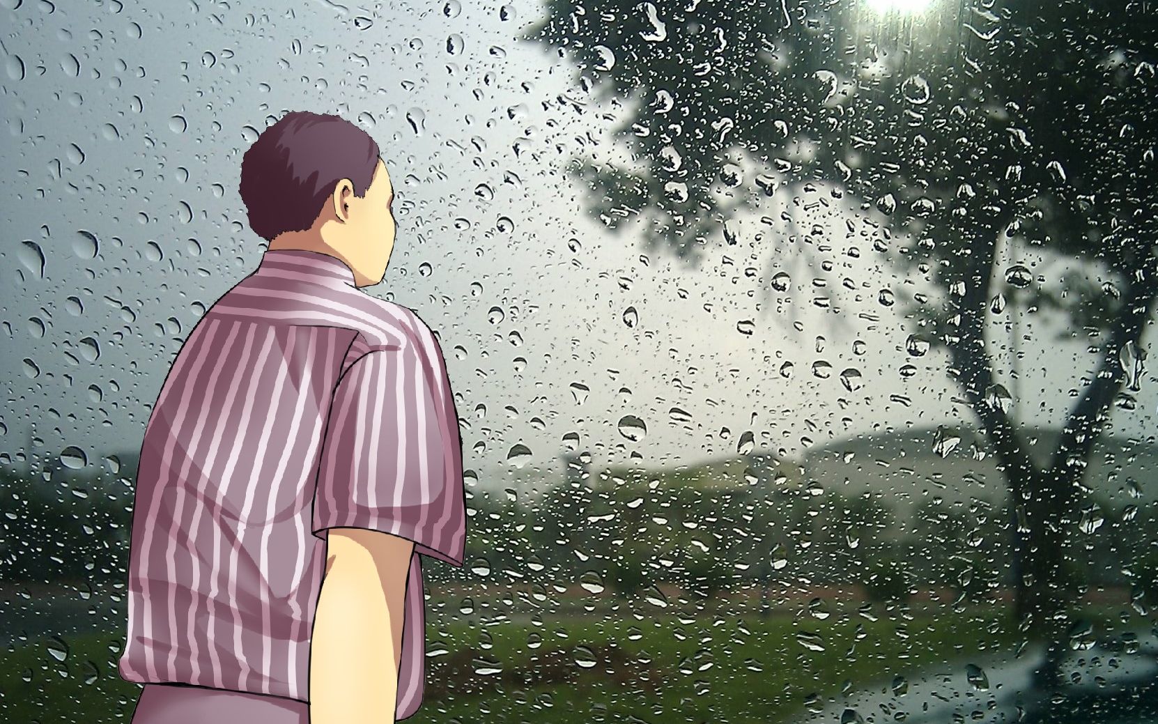 【金坷垃】下雨天——南拳妈妈
