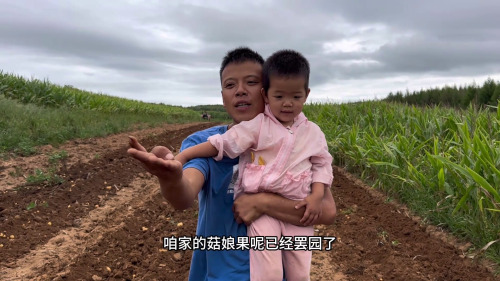 东北农村生活,土豆剩余不多