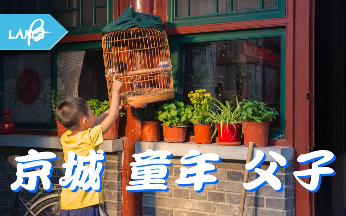 北京四合院的家庭故事丨《铃儿》中传获奖短片