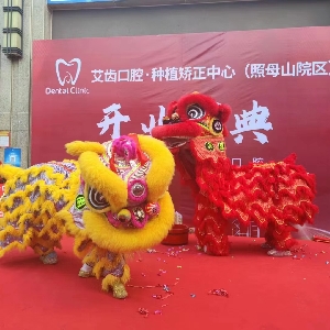舞狮-队 