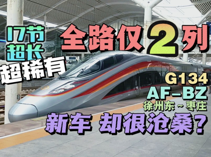 全路仅有2列!超级稀有的17节超长编组智能动车组,为什么明明是新车...