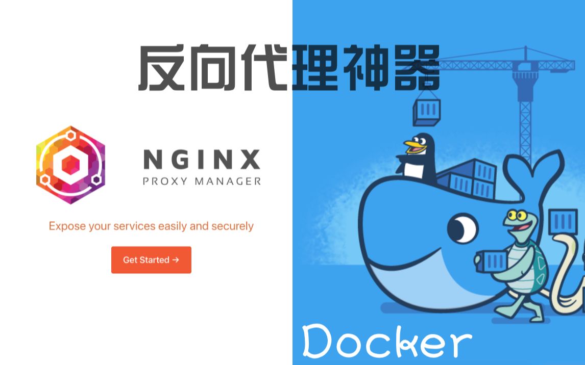 【Docker系列】一个反向代理神器——Nginx Proxy Manager
