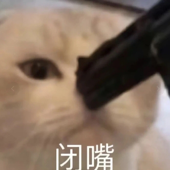 帅哒哒的小黑 