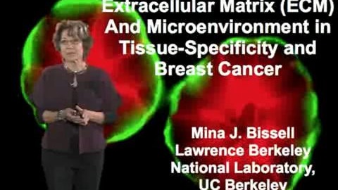 细胞外基质和组织特异性