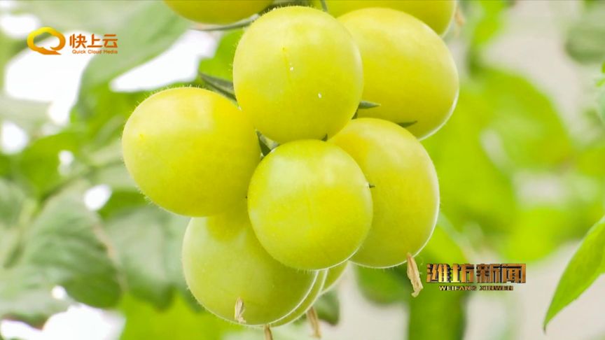 现代农业发展再提升 扎实推进乡村振兴