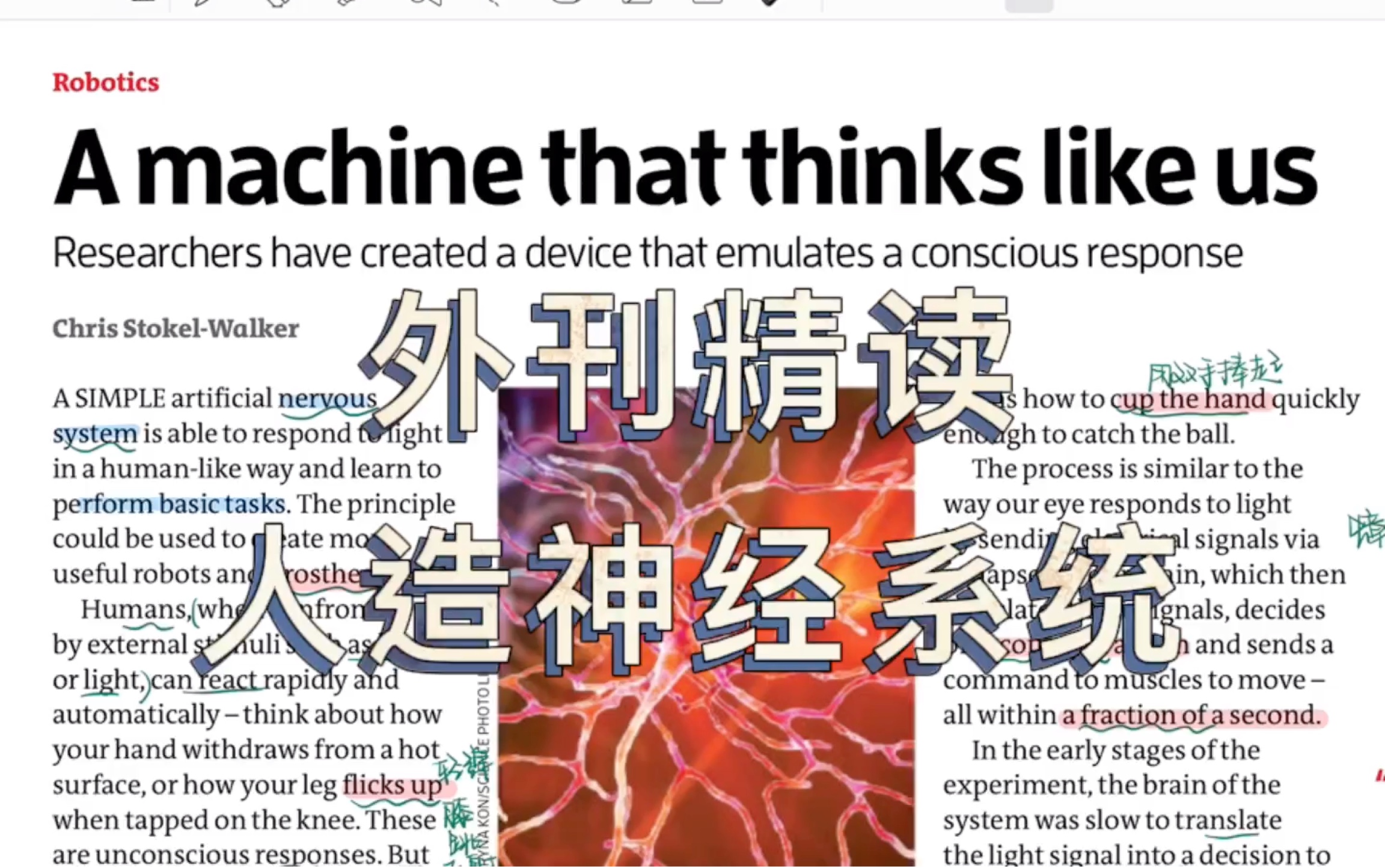外刊阅读6|New Scientist|人造神经系统模拟条件反射有望解决神经系统...