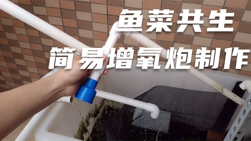 鱼菜共生-简易增氧炮制作