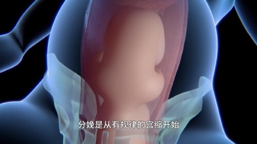 一分钟看完女性自然分娩过程,妈妈真是太伟大了!