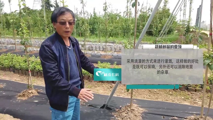 果农们的福音,果树标准化栽培技术,提升苹果产业水平走向致富。