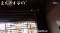 网状卷帘门、电动网状门、自动网状门、卷帘门、重庆卷帘门、新宇...