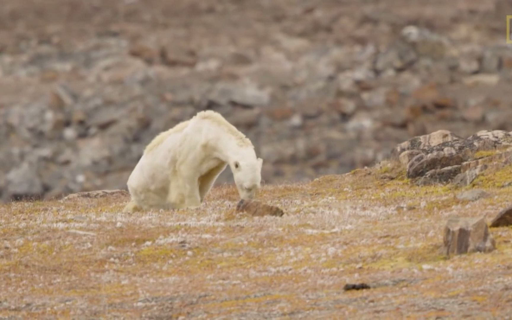 2022世界环境日宣传