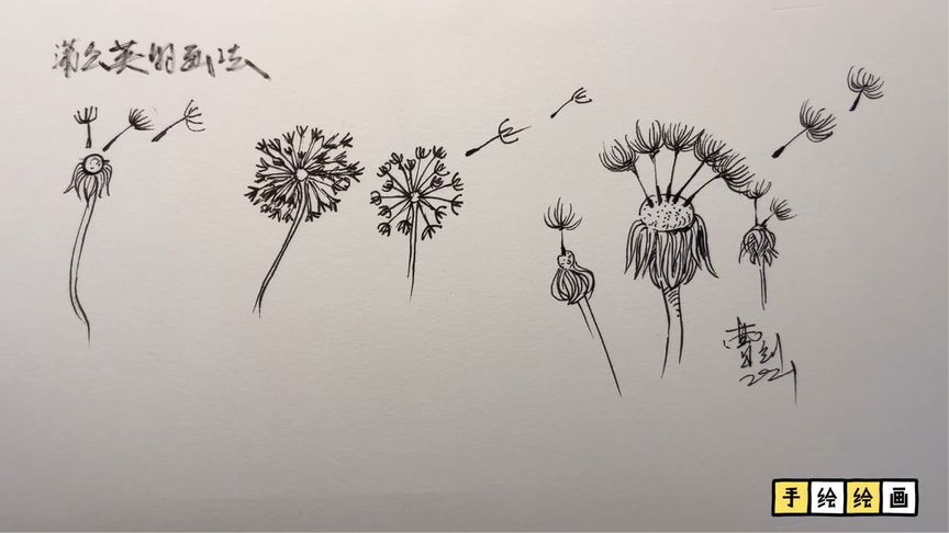 蒲公英怎么画?钢笔画风景,教你画简单实用速写技法