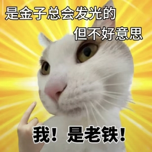 biiea_g_le 