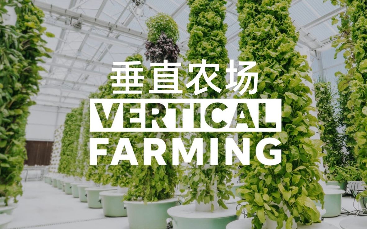 未来的有机农业- 垂直食物农场