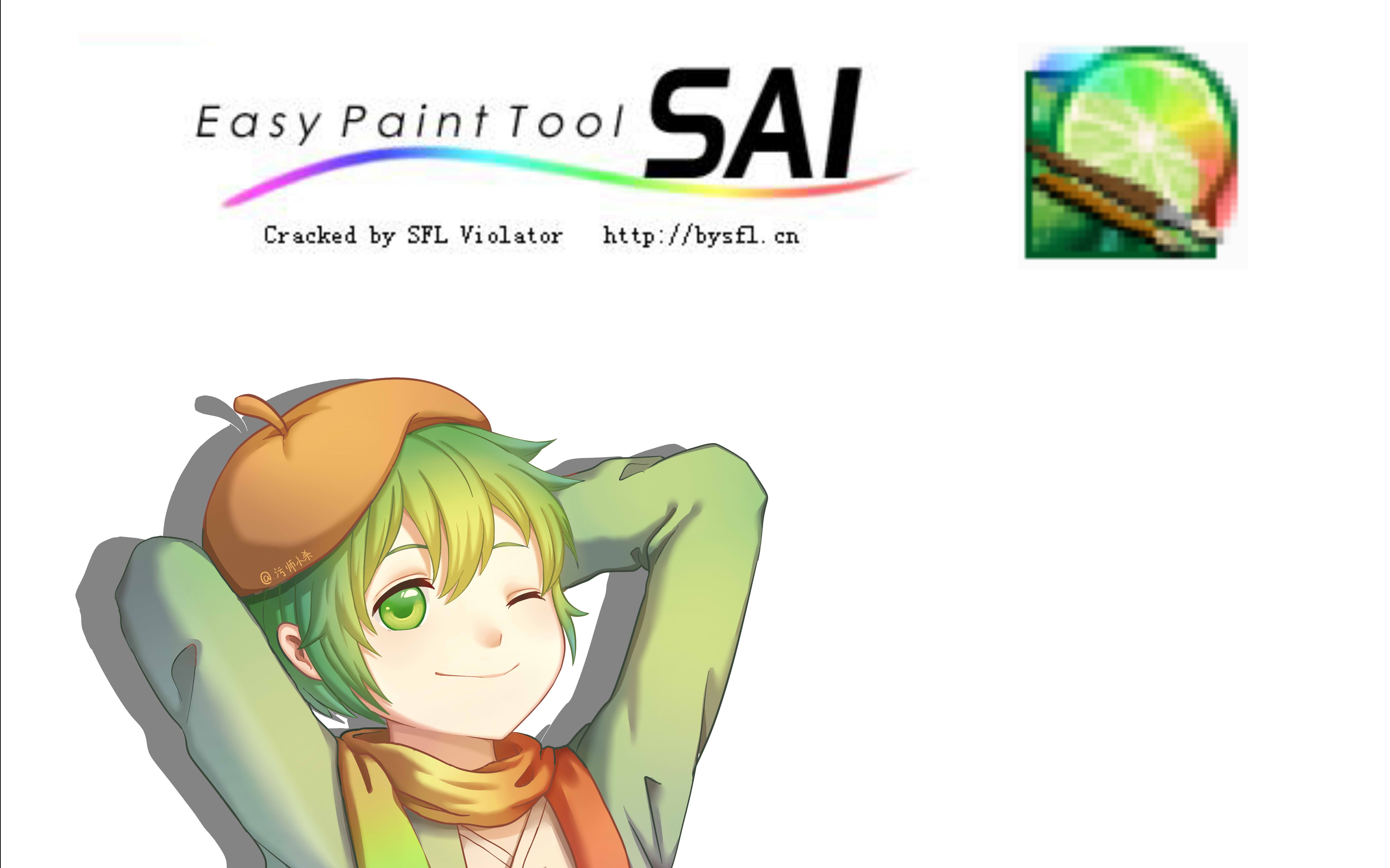 这大概是一个SAi的教程