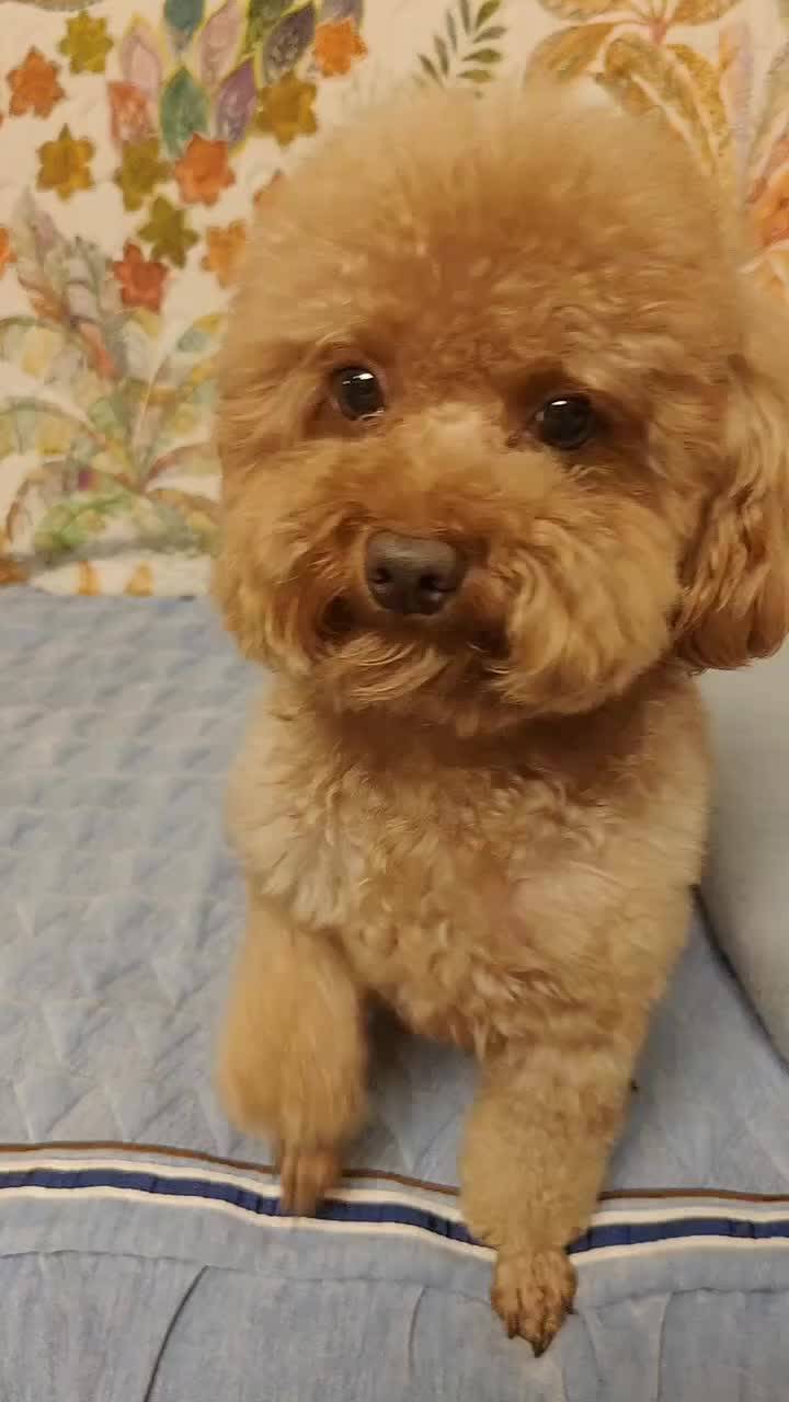 那就拔管,你满意了吧,你没看我写作业呐