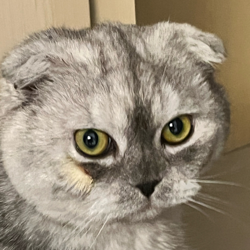 蔚挚 
