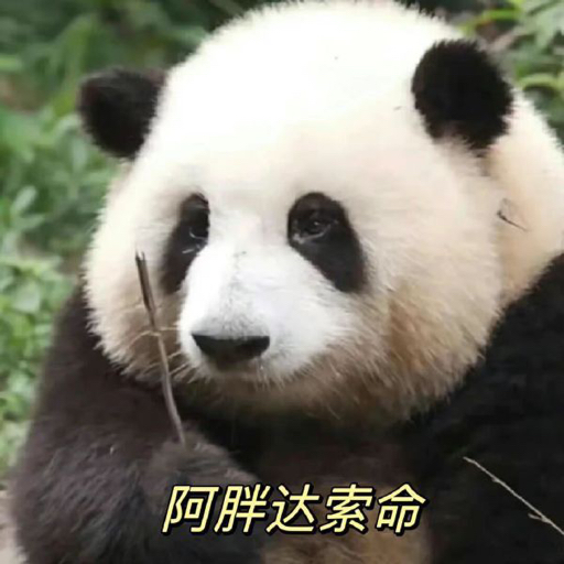 憨八龟鲨鲨 