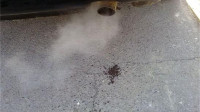 排气管“滴水”到底正常吗?滴的越多 发动机越好?小心毁车啊!
