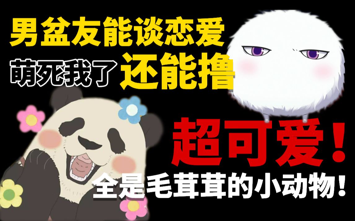 【半碗】男朋友毛茸茸能抱还能撸!毛茸茸小动物文合集来了!又萌又甜～