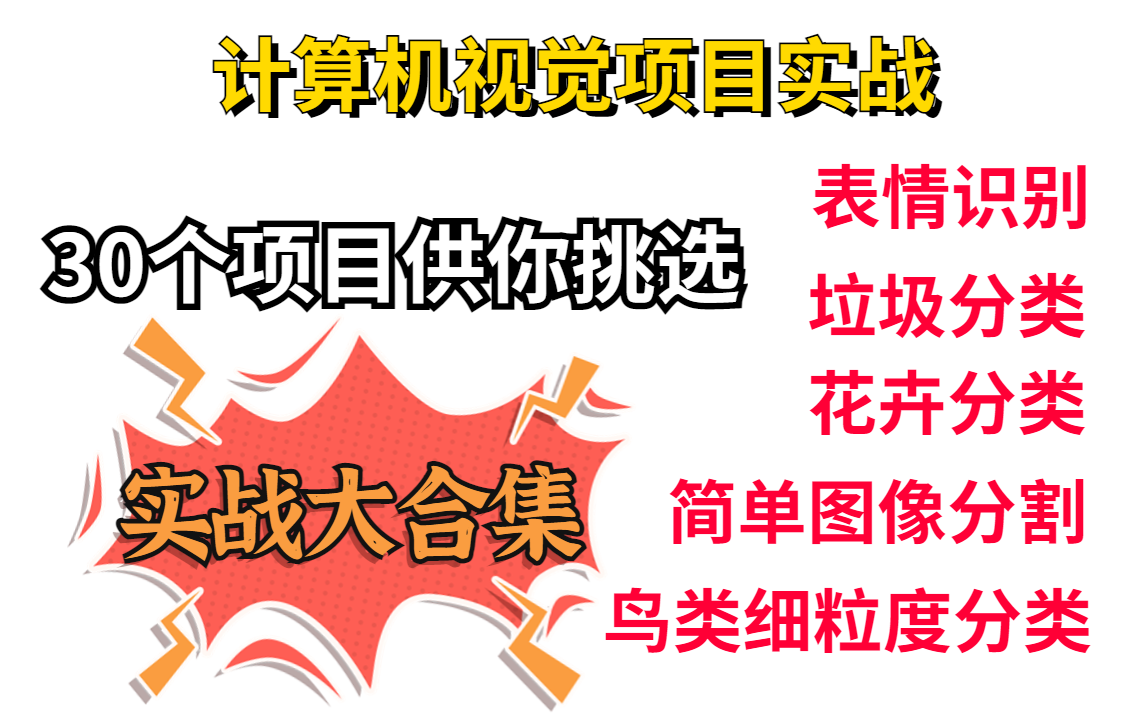 【强推!】30个计算机视觉项目实战等你来挑战!光看不连等于白看,实操...