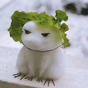 洛天依and皮皮鲁 