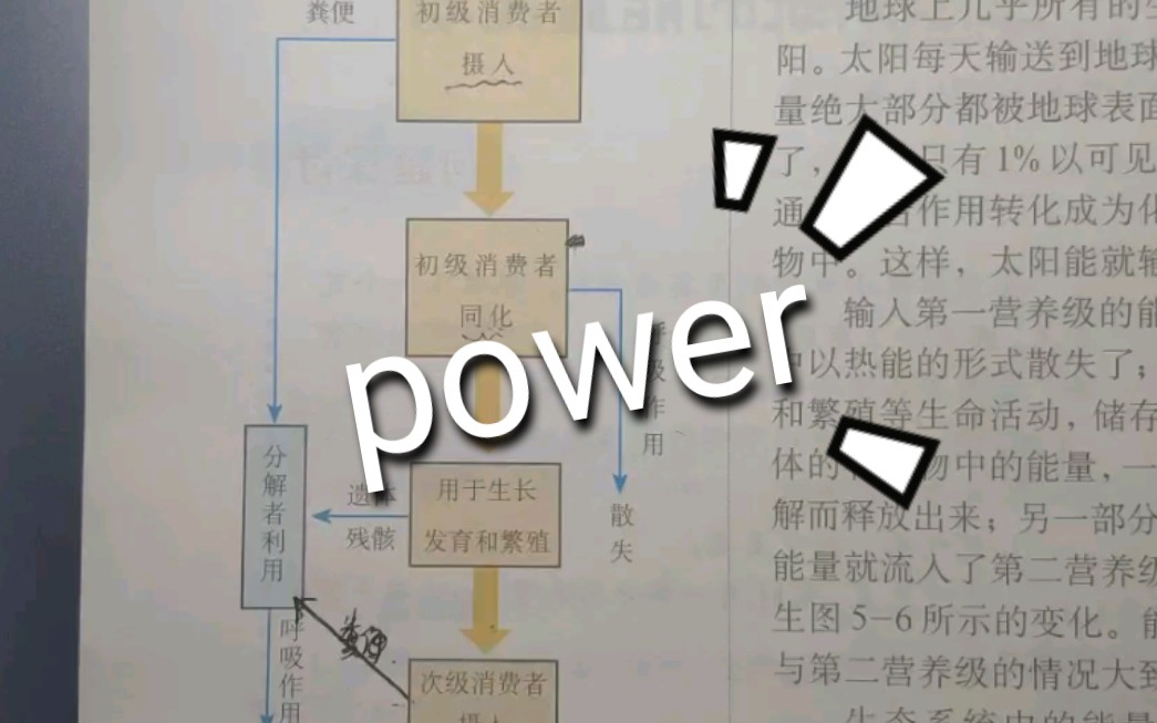 生态系统能量流动的三模型