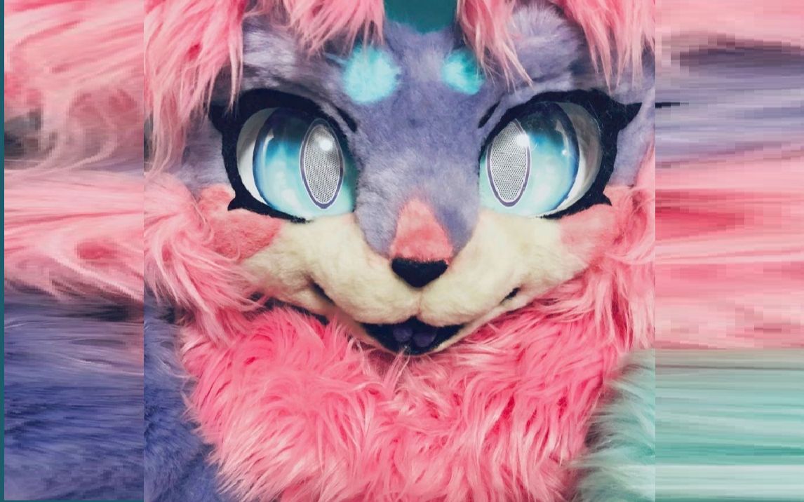 【fursuit】快来看甜到化掉的萌萌日系兽兽!【第一期日系兽兽】