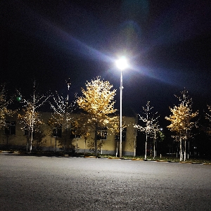 風歌好听 