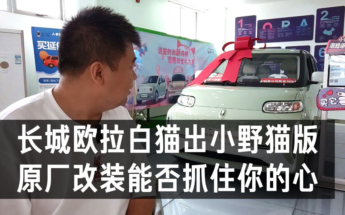 长城欧拉推白猫小野猫版,原厂改装能否抓住你的心