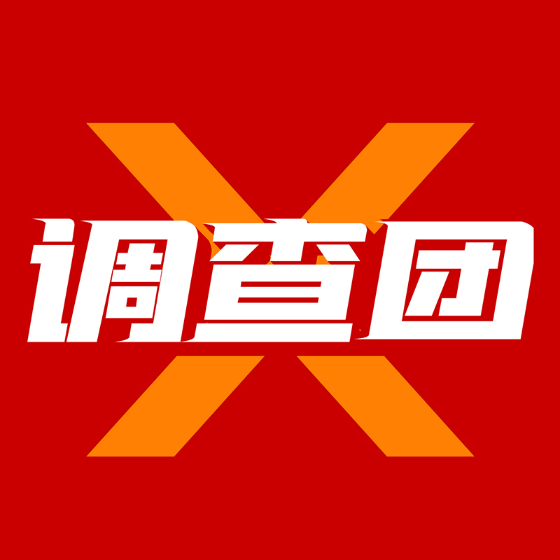 X调查团-老马 
